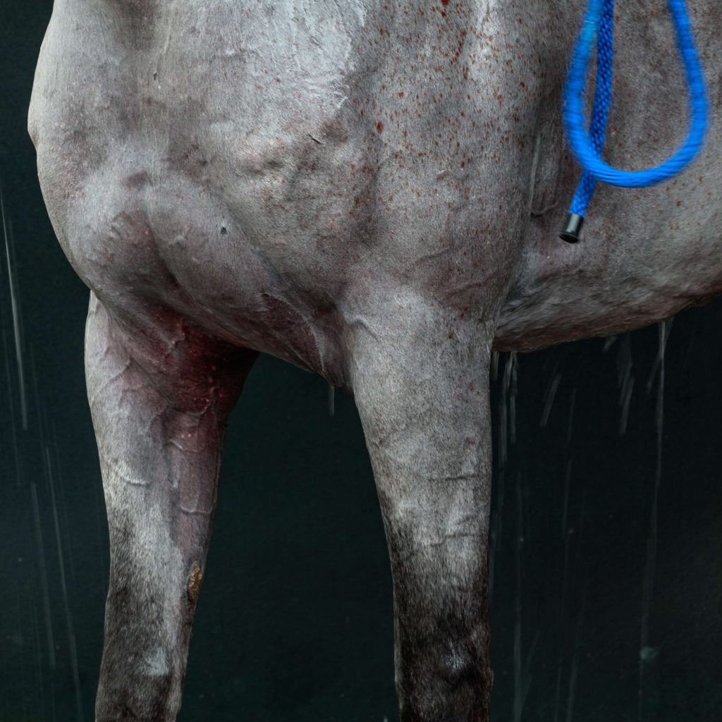 Our story | Wathnan Racing