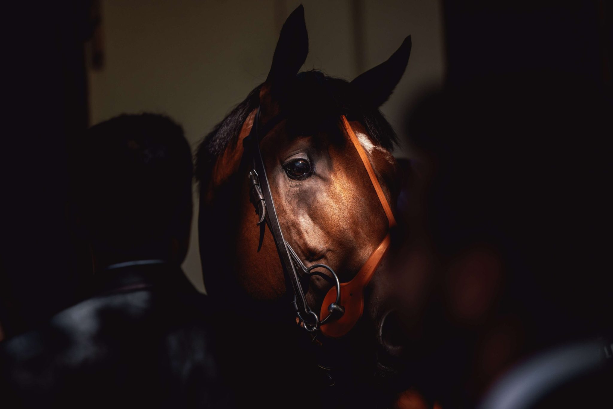 Our team | Wathnan Racing