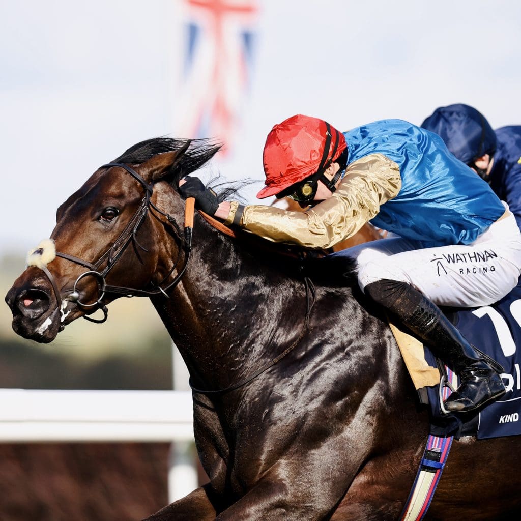 Our story | Wathnan Racing