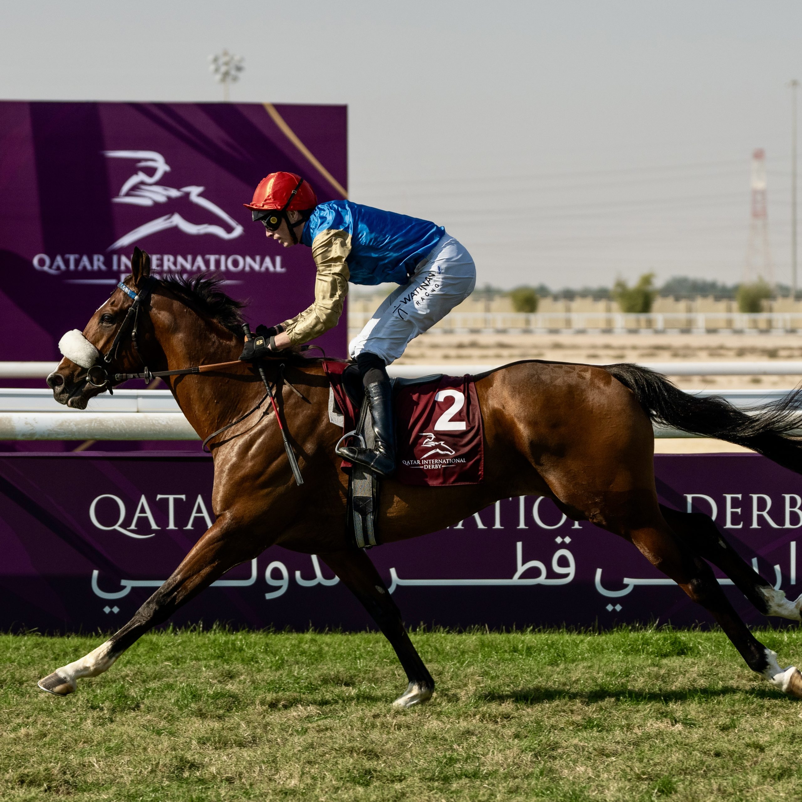 Qatar Oaks and Derby days: an eight-win Wathnan bonanza | Wathnan Racing