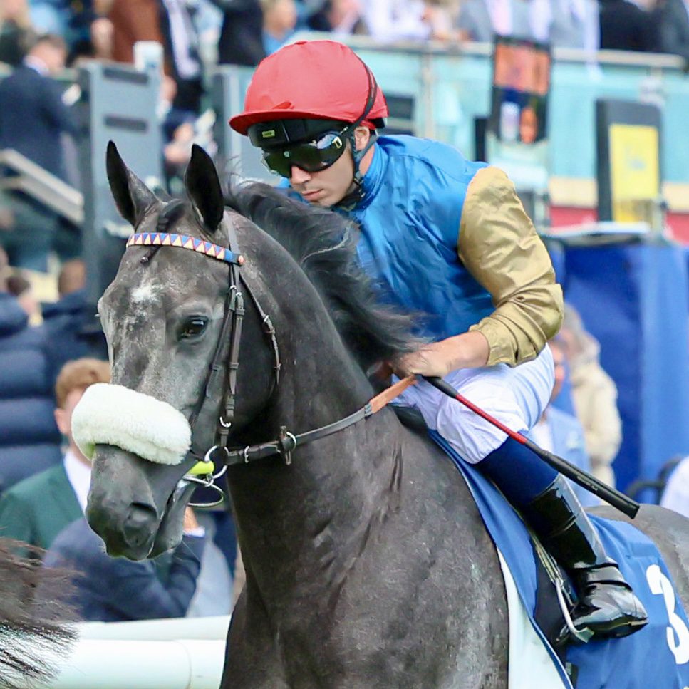 Two horses, two G1 races, two breeds. And one colour | Wathnan Racing